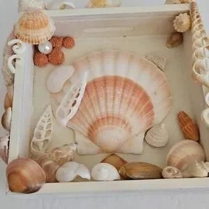 Wall Decor | Handcrafted Natural Shell Wall Shadow Box | Poshmark